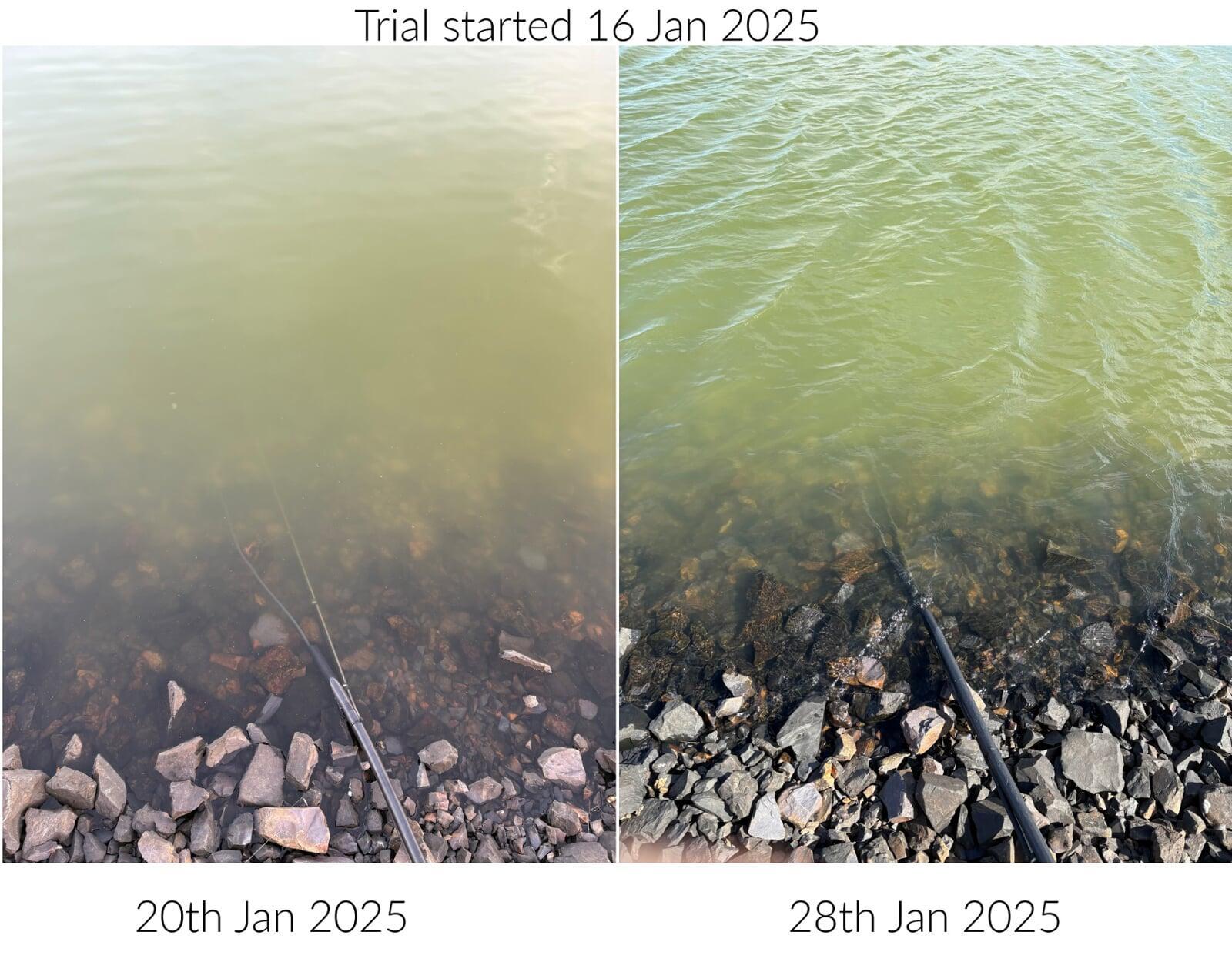 Algae Control Australia | Chemical-Free Algae Treatment Solutions